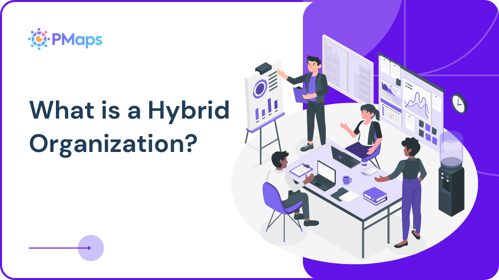 Hybrid Organizational Structure: Efficiency & Adaptability